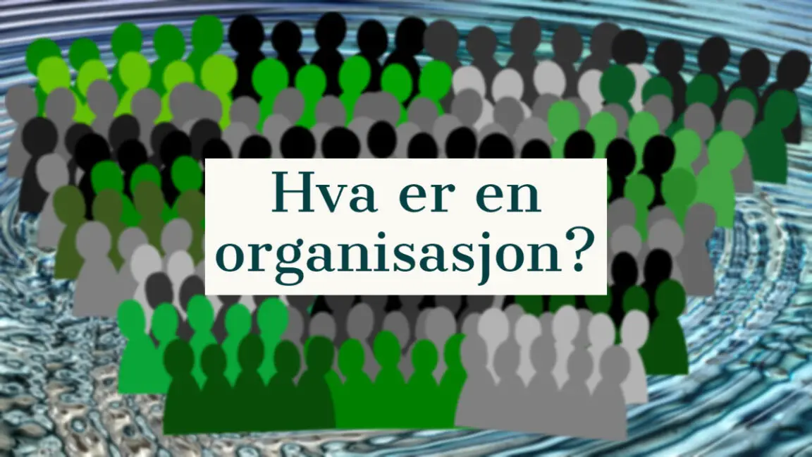 Hva er en organisasjon? | VetAlt.no